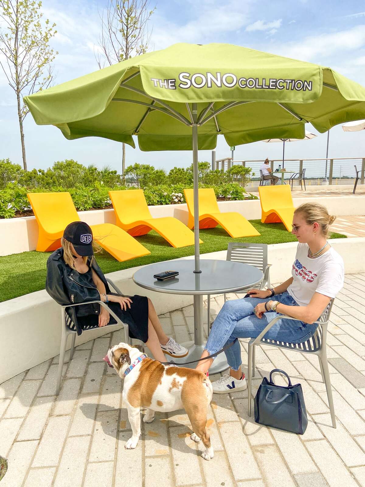 SoNo Collection’s rooftop ‘Pup Brunch’ invites guests to dine with ...