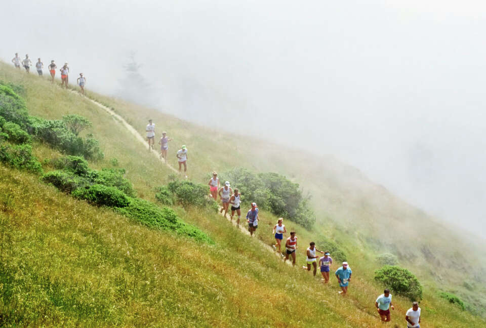 Dipsea Trail: All to know about this famous Bay Area trail