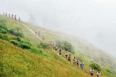 Dipsea Trail: All to know about this famous Bay Area trail