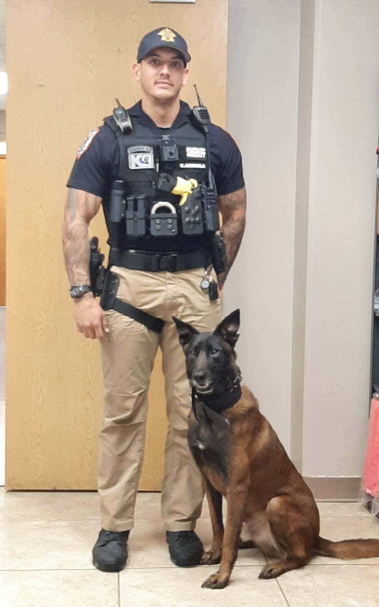 See Orange County's new K9 officers