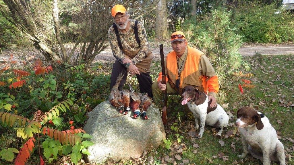 TOM LOUNSBURY: Clarifying the new Michigan pheasant license