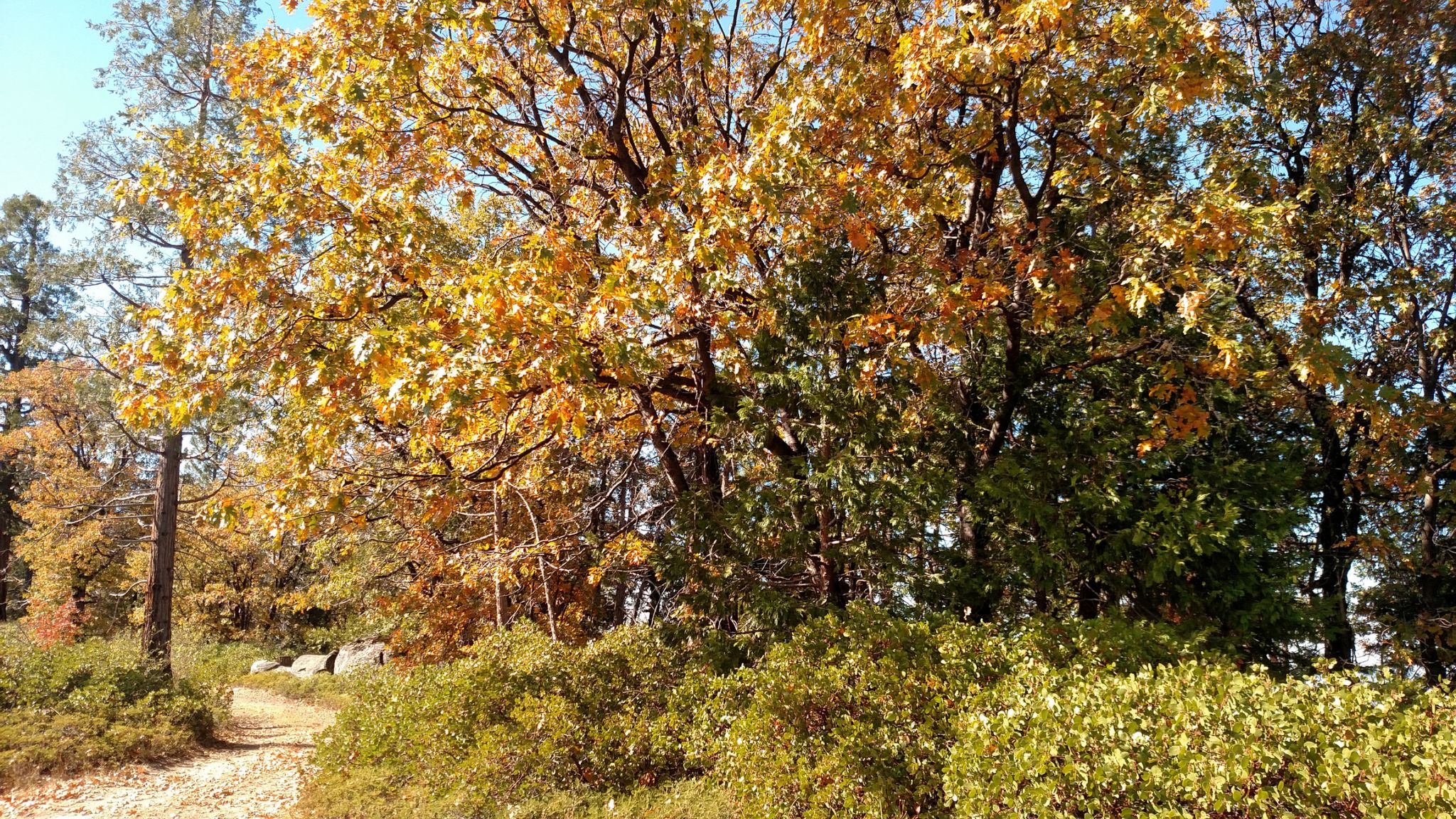 Five years and one drained lake later, no trail on mysterious ...