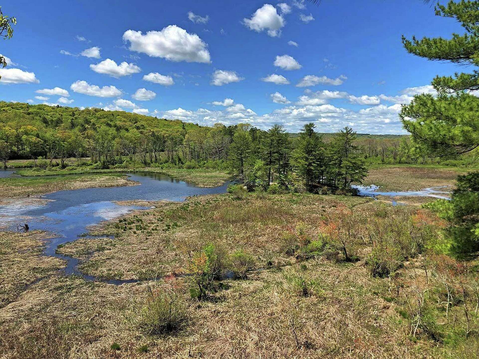 The Hadlyme Hills offers the chance to see one of Connecticut's 'last ...