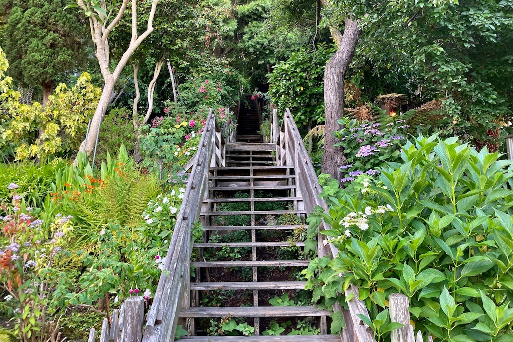 Filbert Street Steps: A secret staircase with stunning views
