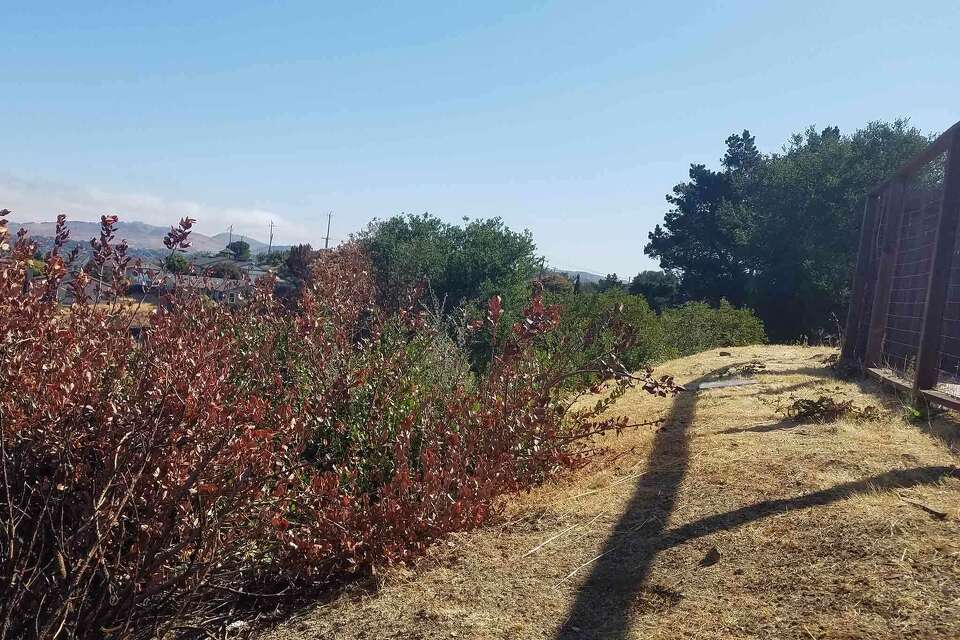 I had 5 minutes to evacuate from a California wildfire. Here’s what I ...