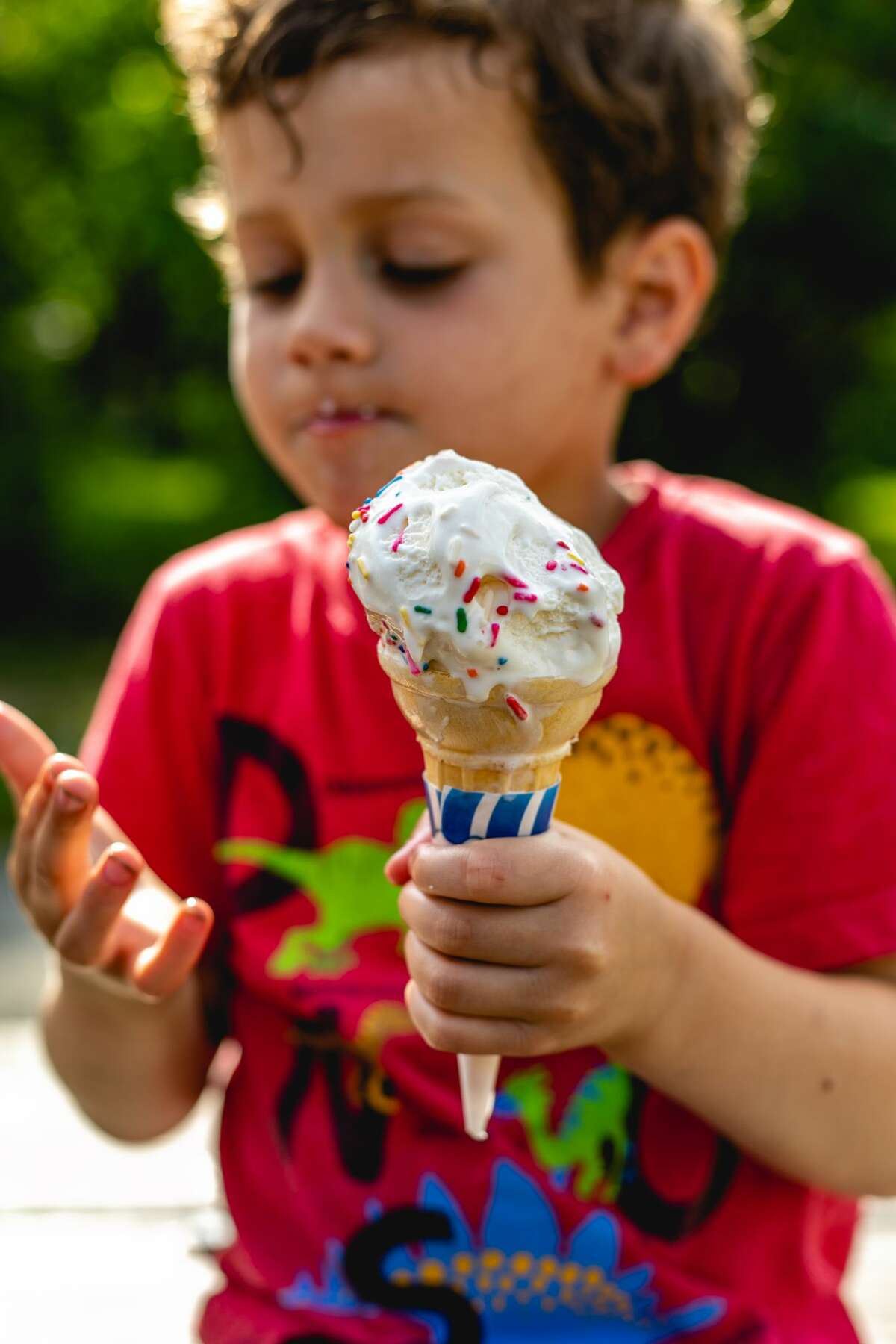 Can Connecticut ice cream be ranked? Two locals sampled the state's ice ...