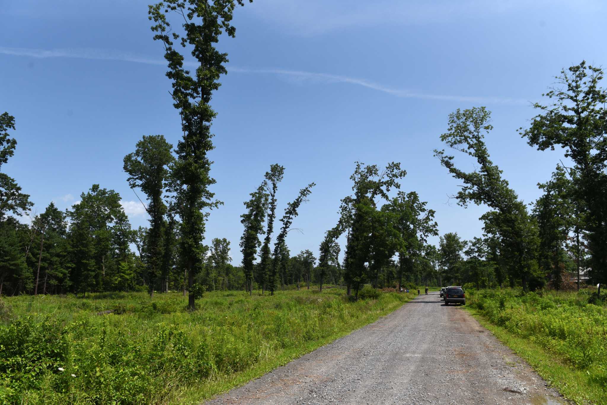 Albany Pine Bush Preserve acquires 15 more acres of protected land