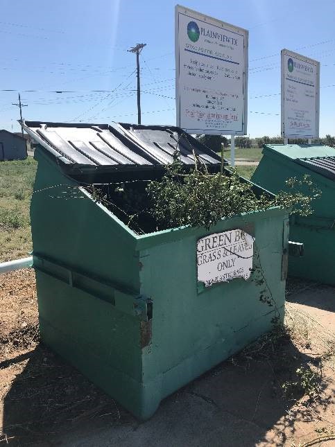City: Green dumpsters are for small tree limbs only