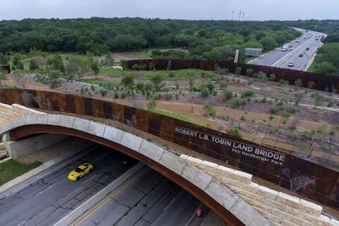 Ringtail, bobcat and armadillo spotted at Tobin Land Bridge
