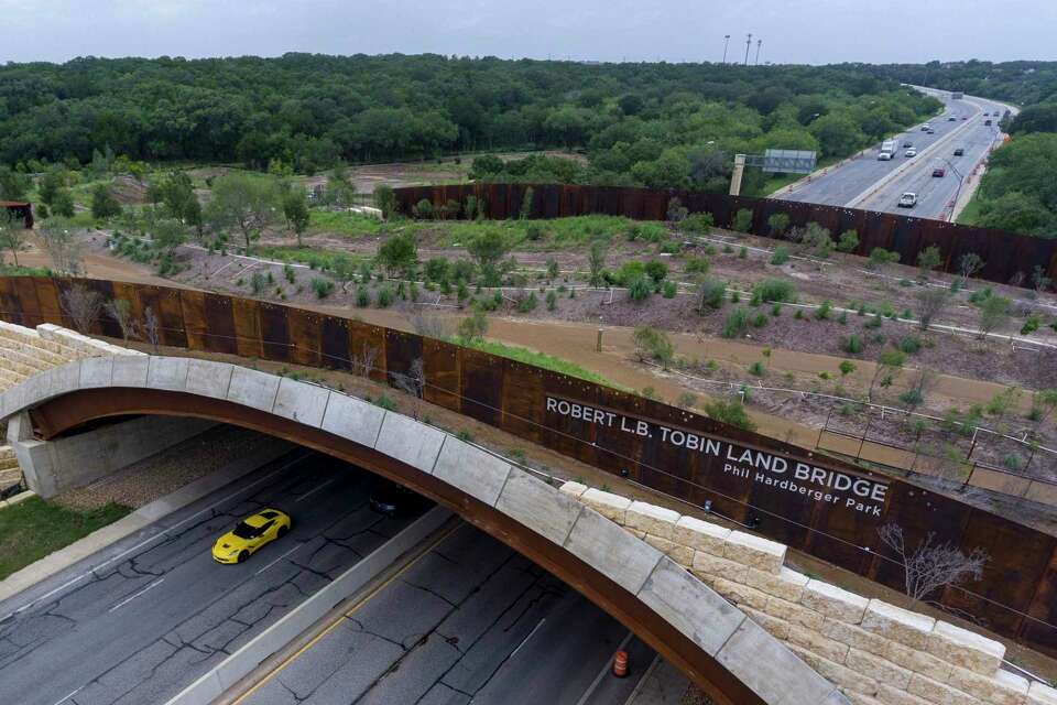 Ringtail, bobcat and armadillo spotted at Tobin Land Bridge