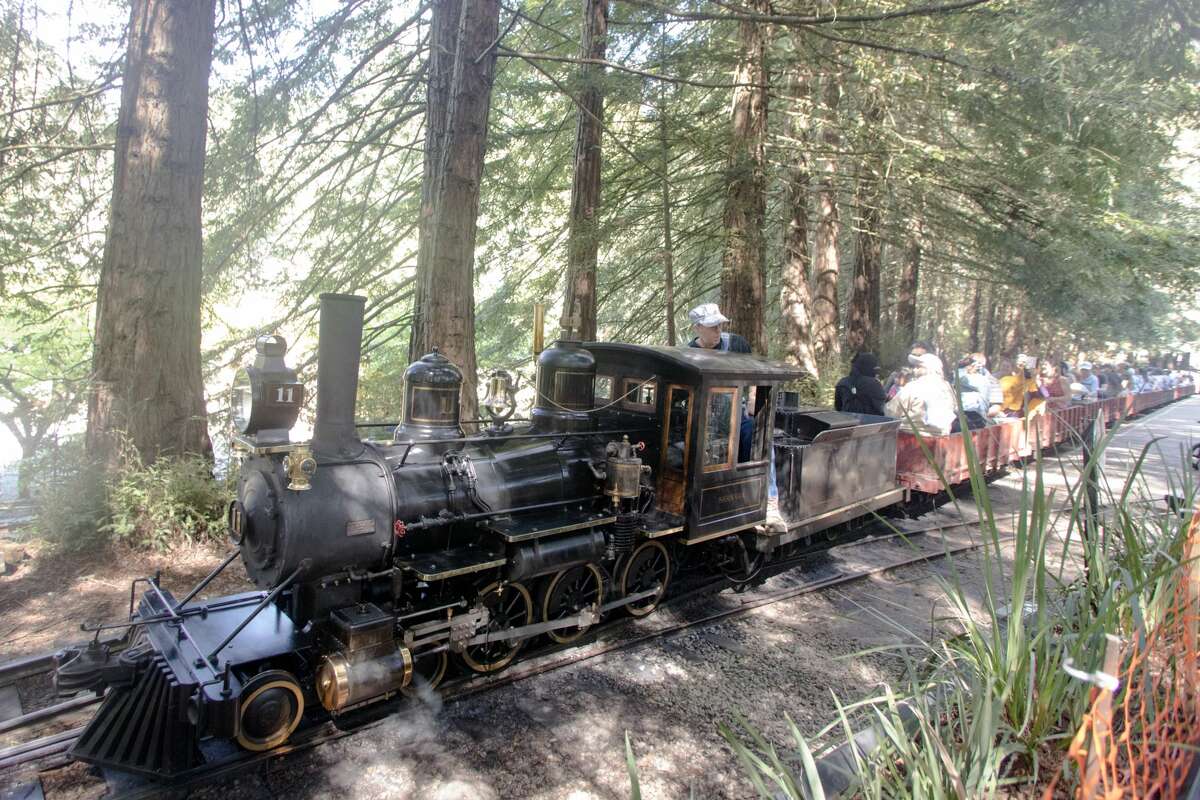 Steam trains, creeks and piglets: The secrets of Tilden Park