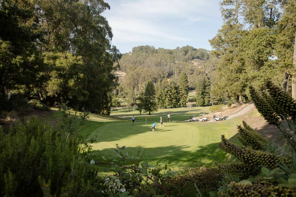 Steam trains, creeks and piglets: The secrets of Tilden Park