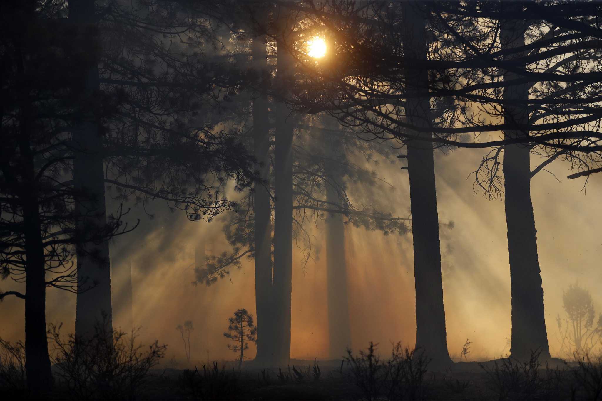 Diablo winds could pick up next week, raising fire danger in tinder-dry ...