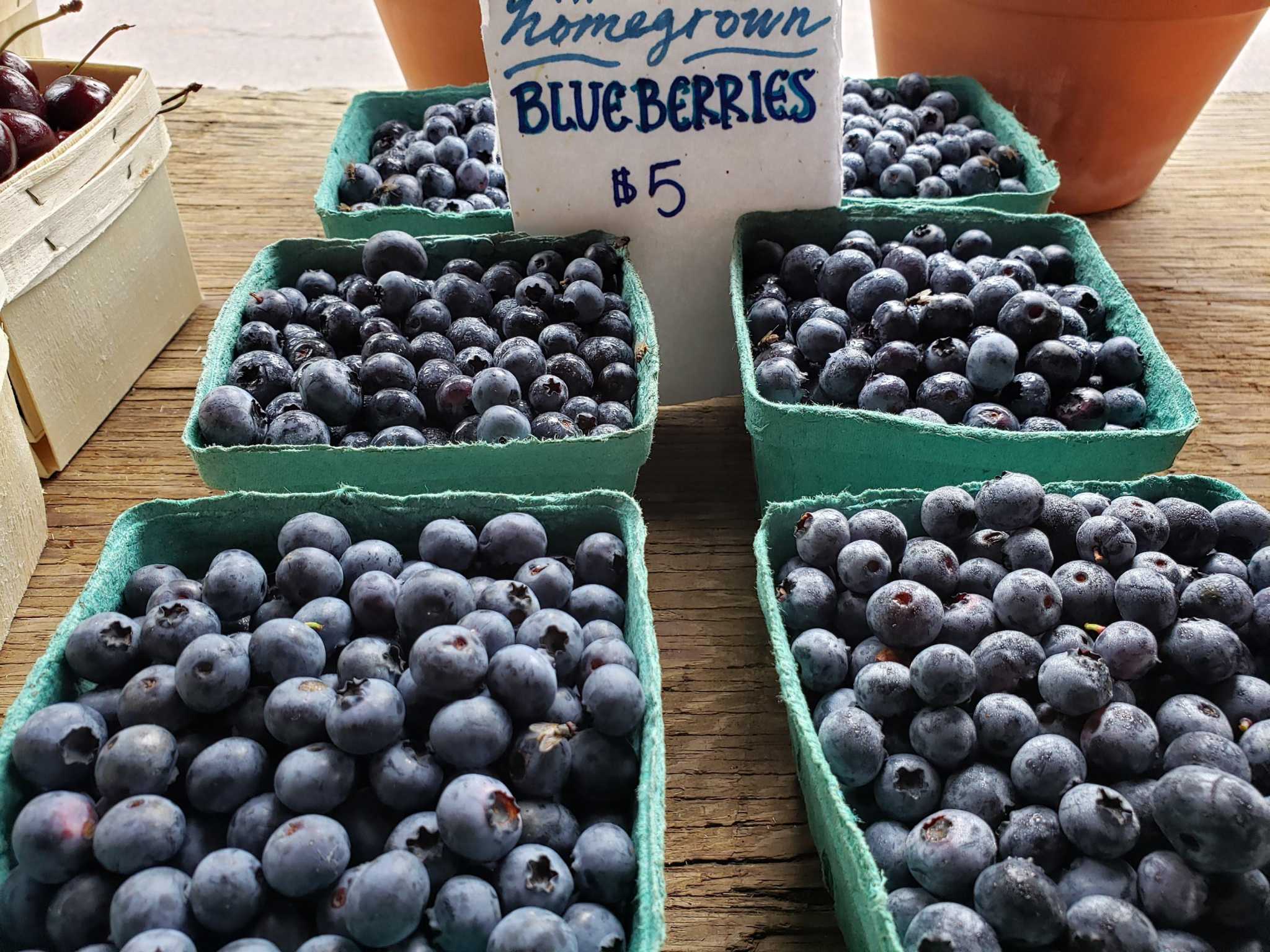 Not Bread Alone: It’s blueberry baking season