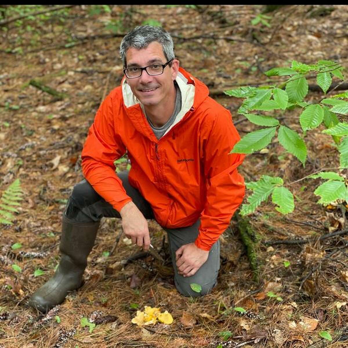 It's a magical year for mushrooms