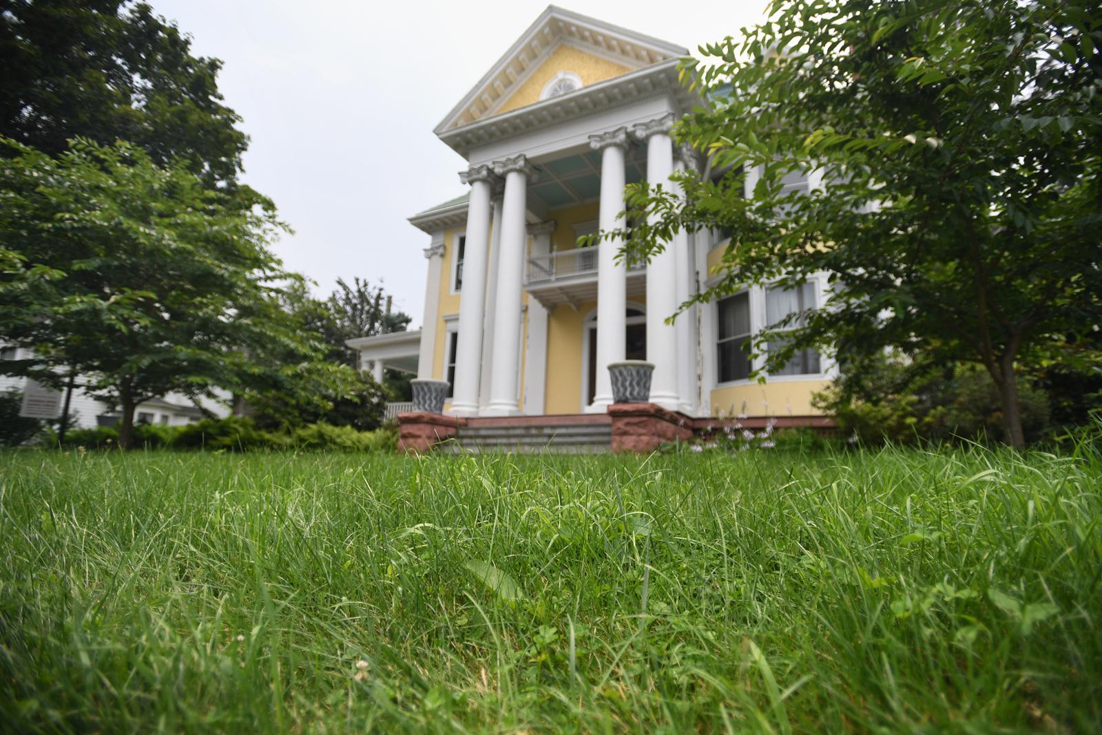 Blight or a meadow? Bridgeport orders bulb company to mow garden