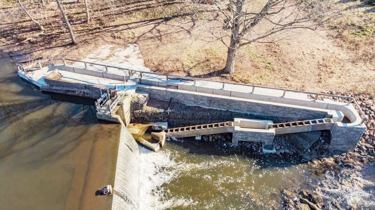 Chester firm wins national fishway engineering award