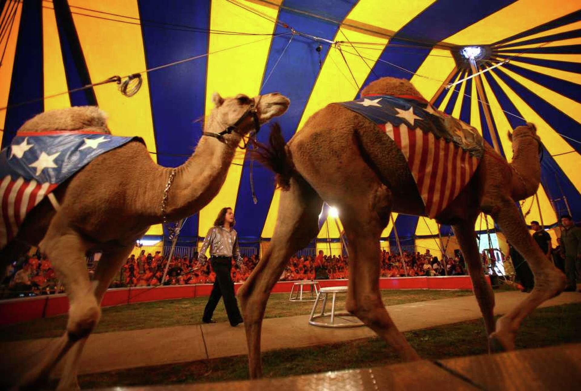 Circus is prescription of fun for ill kids