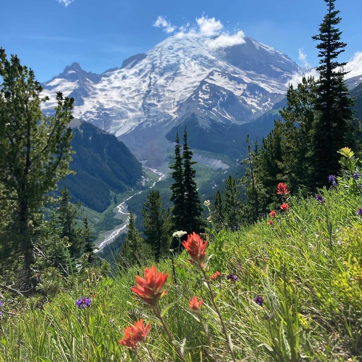 The mountain is out: Mount Rainier shows rocky face after record ...