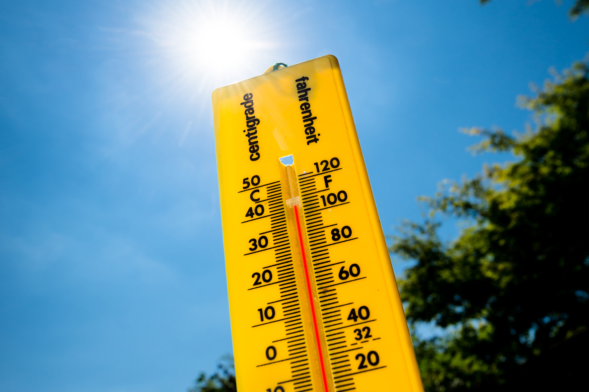 Another heat wave is coming – Here's how you should prepare