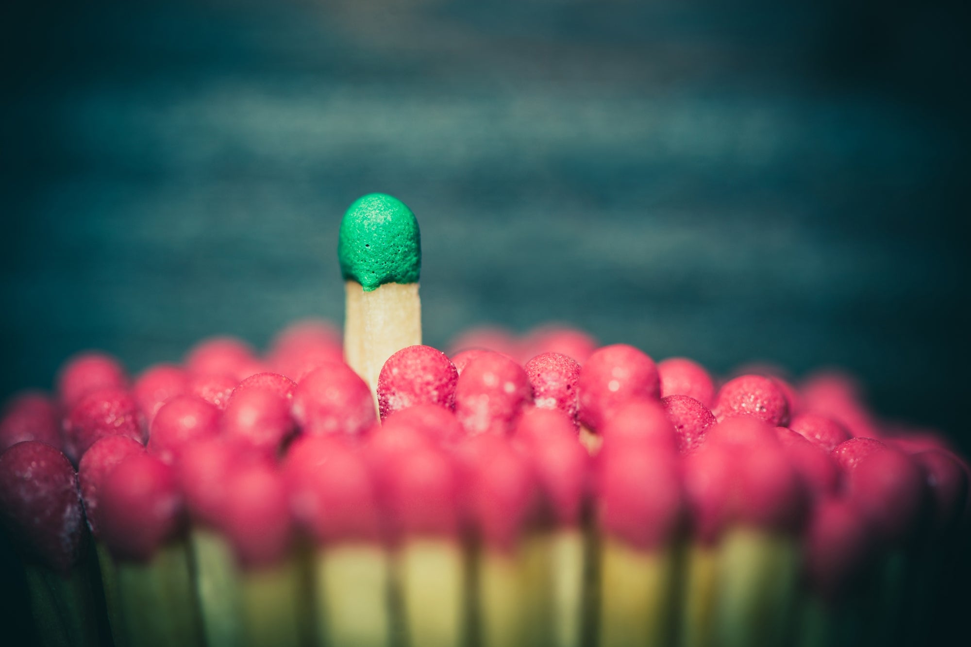 Make Your Brand Stand Out From the Crowd with Smart Digital Marketing ...