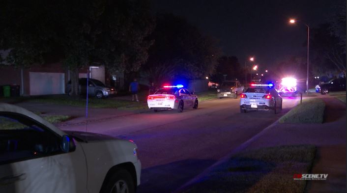 Woman found in Spring pool in near-drowning, officials say