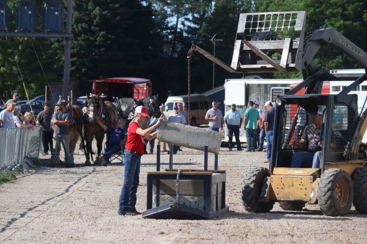 Horse pull to provide plenty of grandstand excitement at Manistee ...