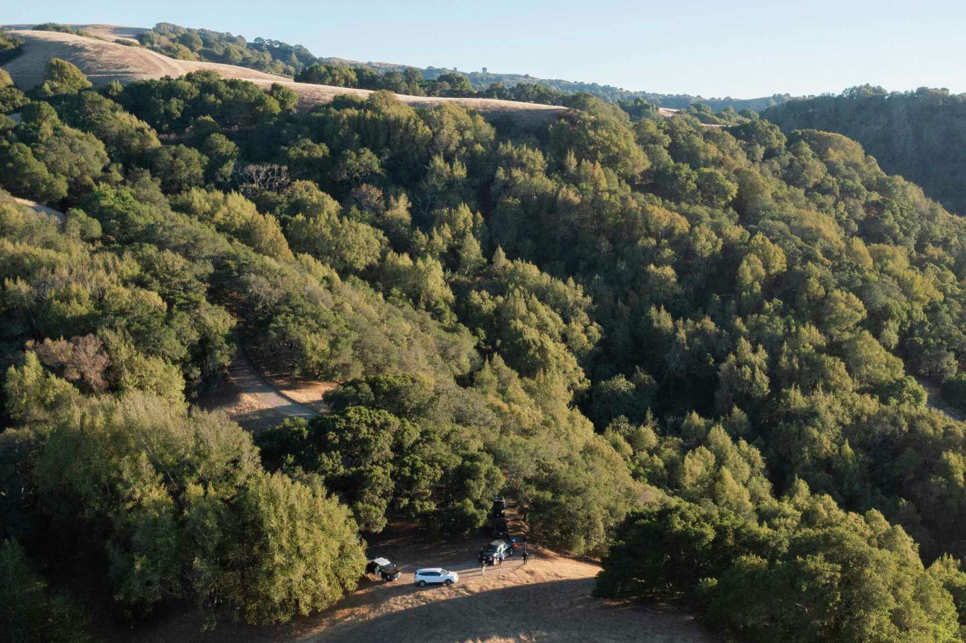 Missing runner case: Volunteer searcher finds body near trail, under tree