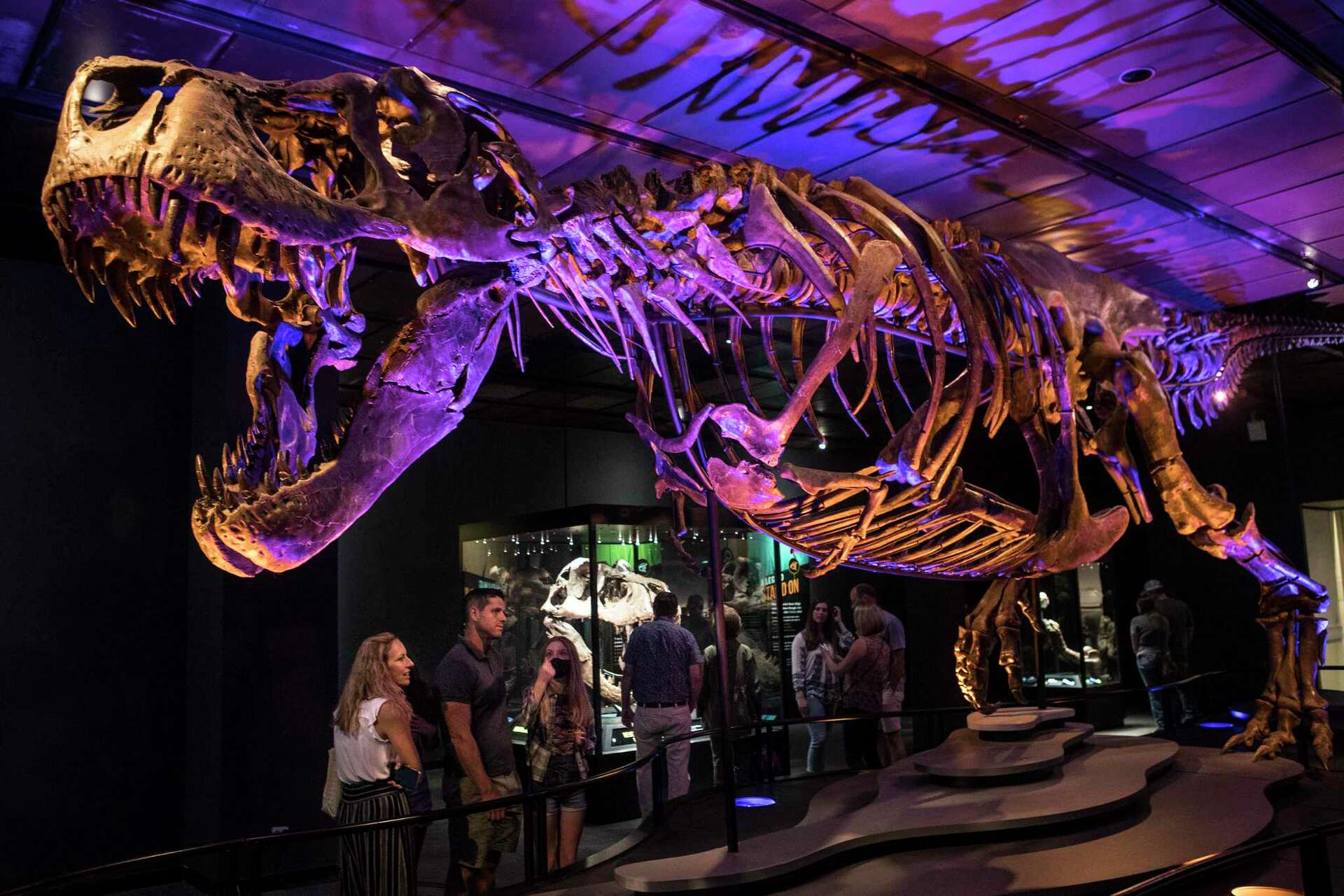 HMNS announces free year-round admission on Tuesdays
