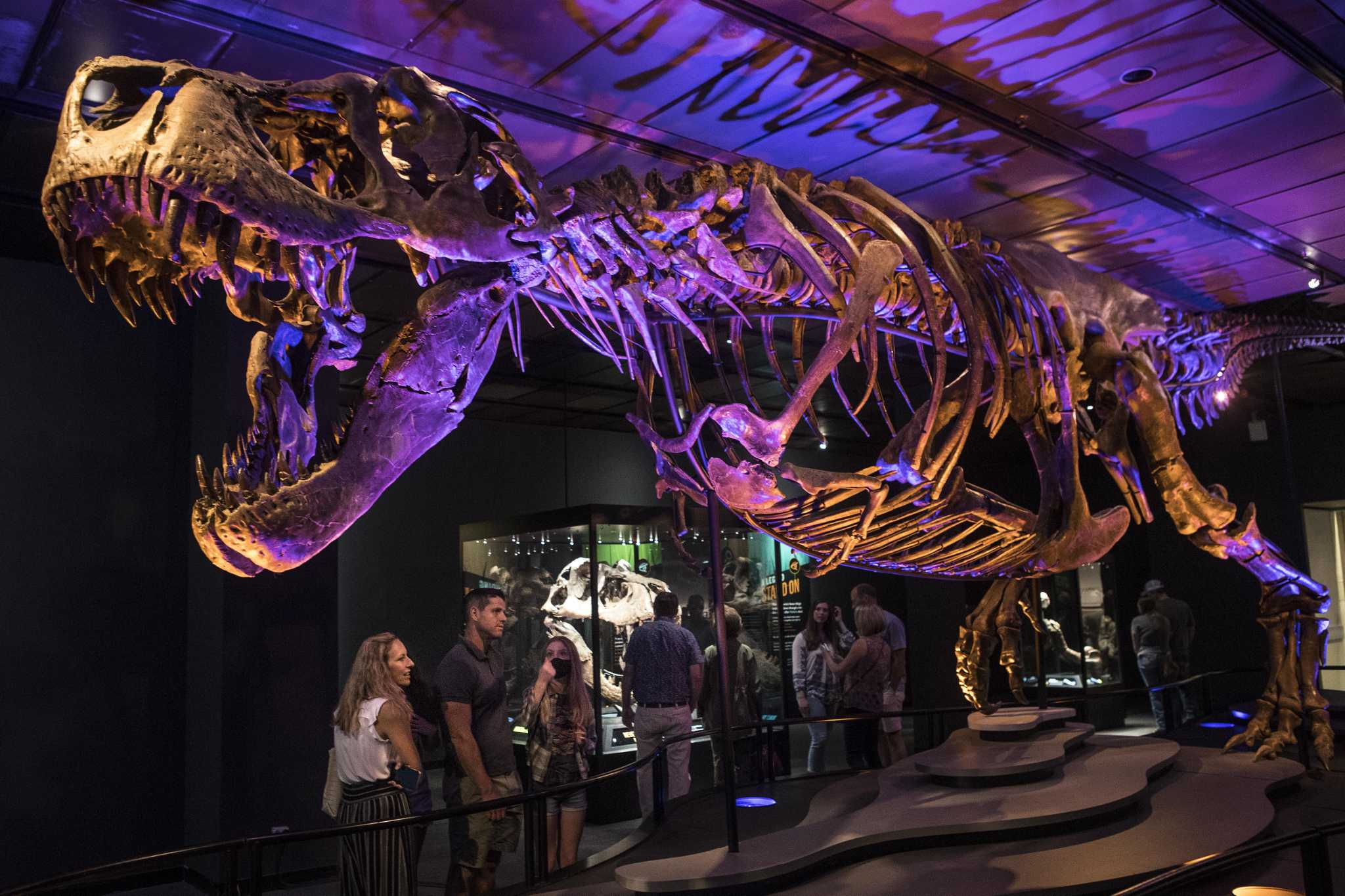 HMNS announces free year-round admission on Tuesdays