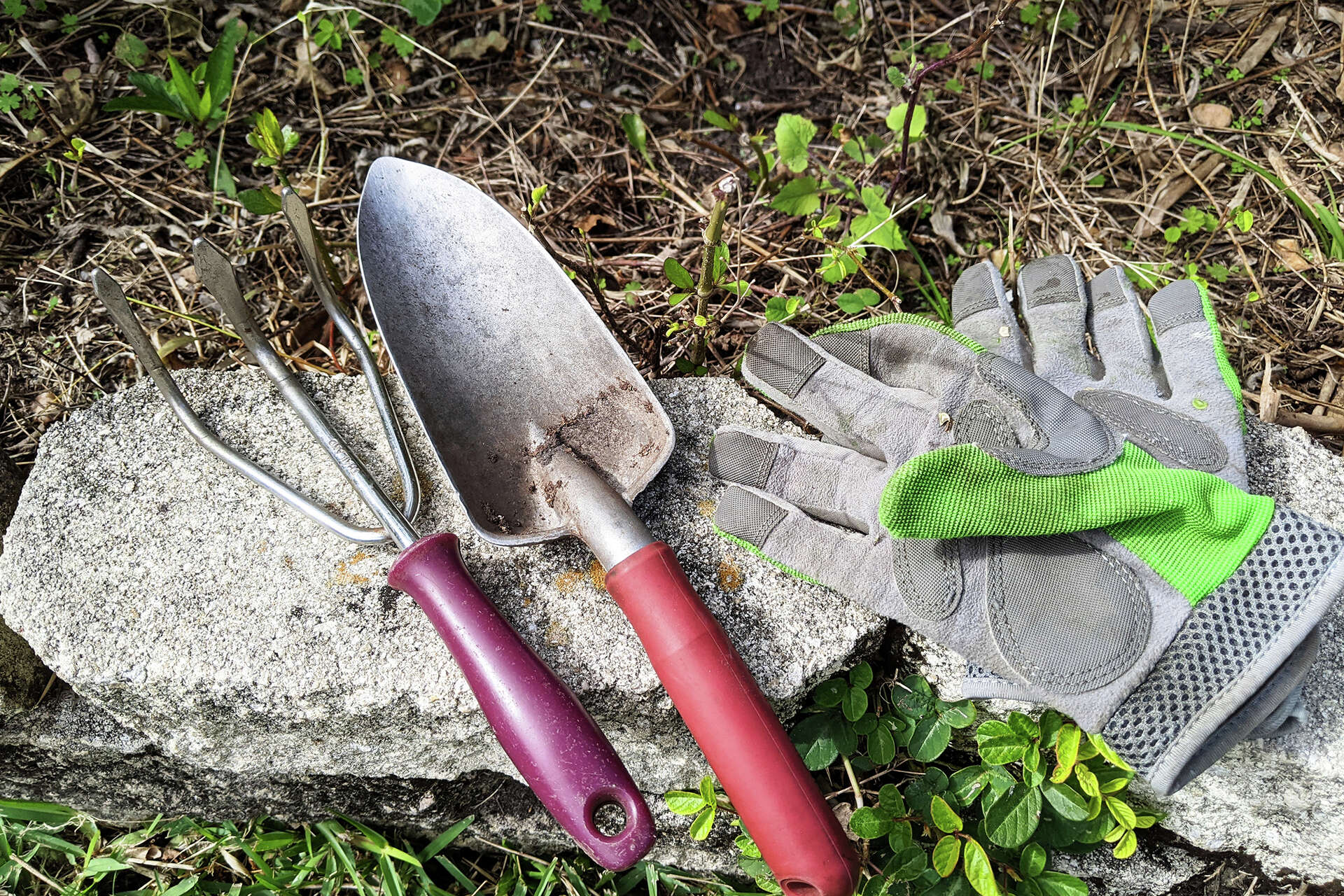 The most important gardening tools you didn't know you needed