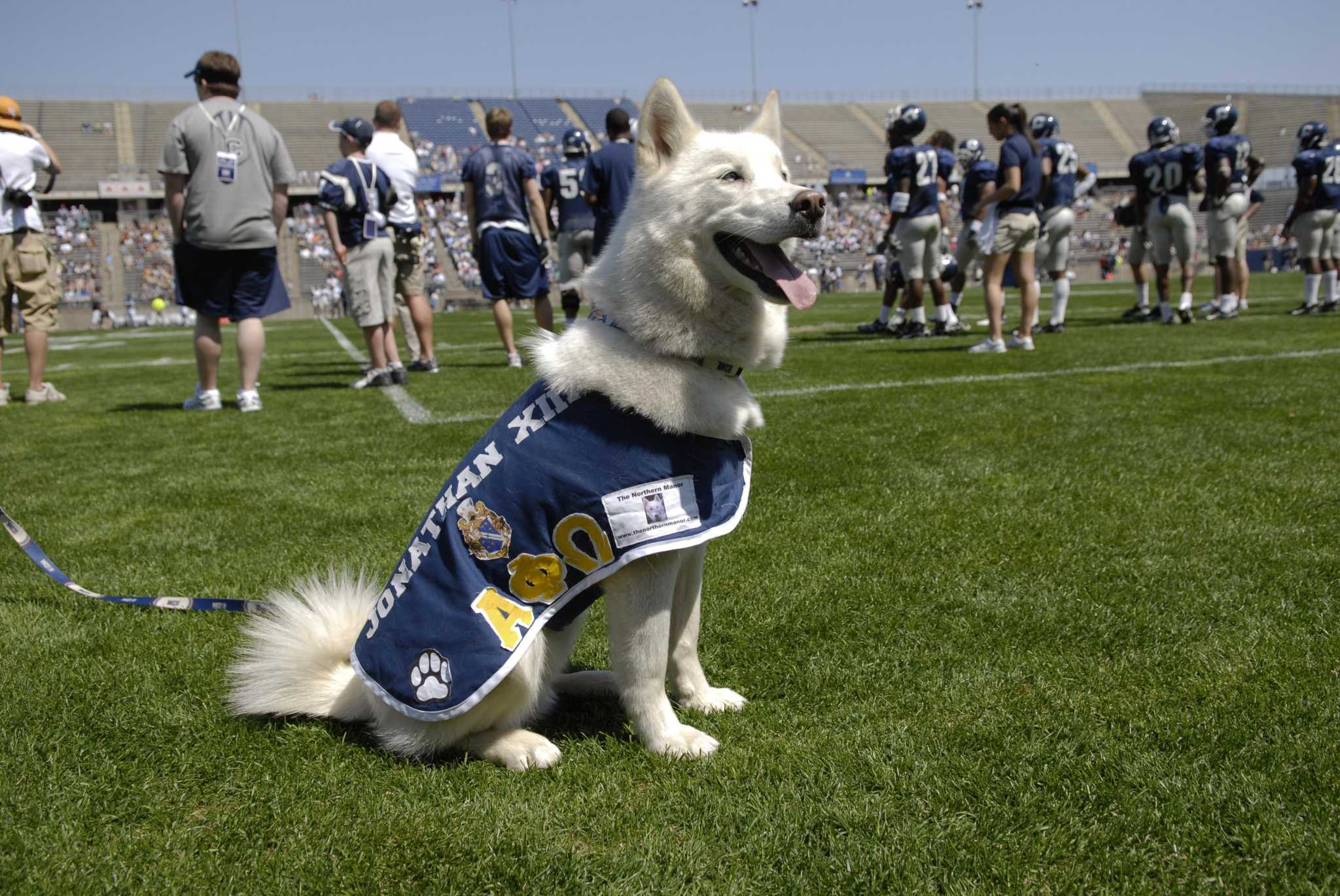 Retired UConn Husky mascot dies at 14