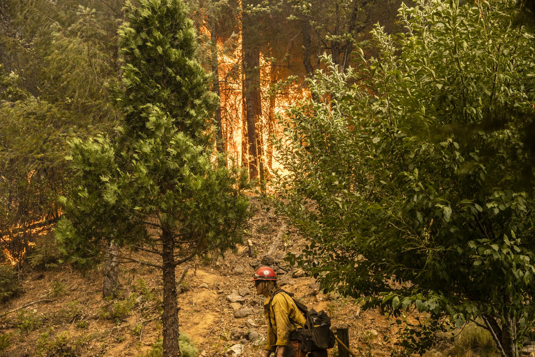 How this year’s historic fire season compares to others in ...