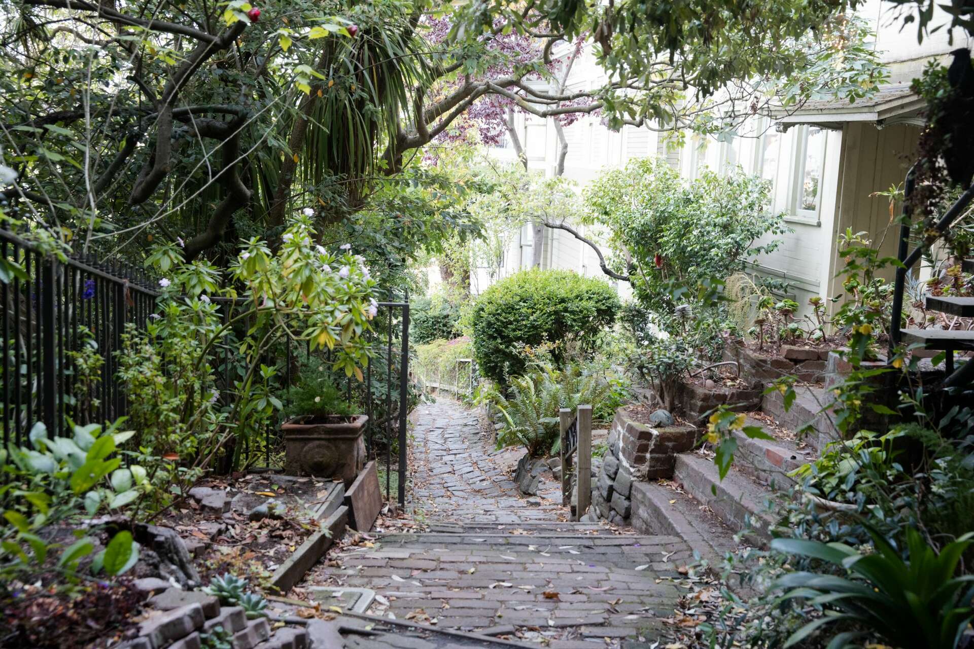 Is exploring tiny streets and alleyways the best way to see San Francisco?
