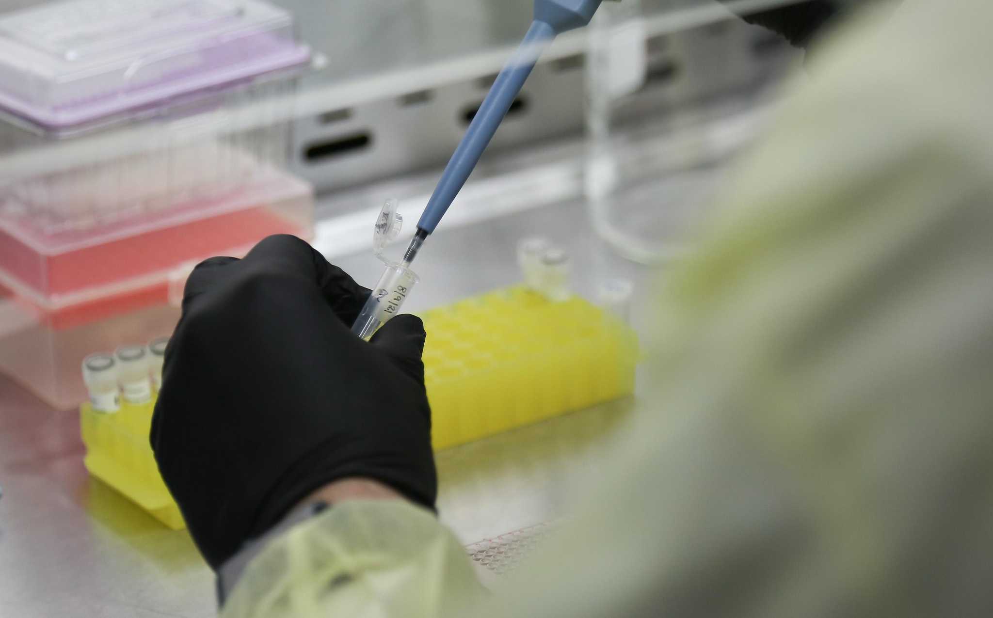 Free COVID 19 Testing In Houston Available At 2 Dozen Pharmacies