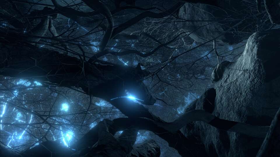 Netflix documentary 'Fantastic Fungi' explores the many magical ...