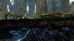 Netflix documentary 'Fantastic Fungi' explores the many magical ...