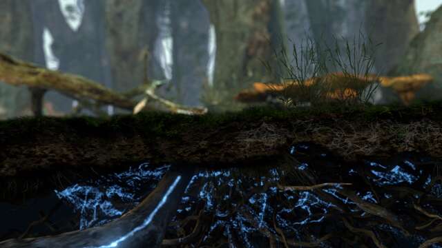 Netflix documentary 'Fantastic Fungi' explores the many magical ...