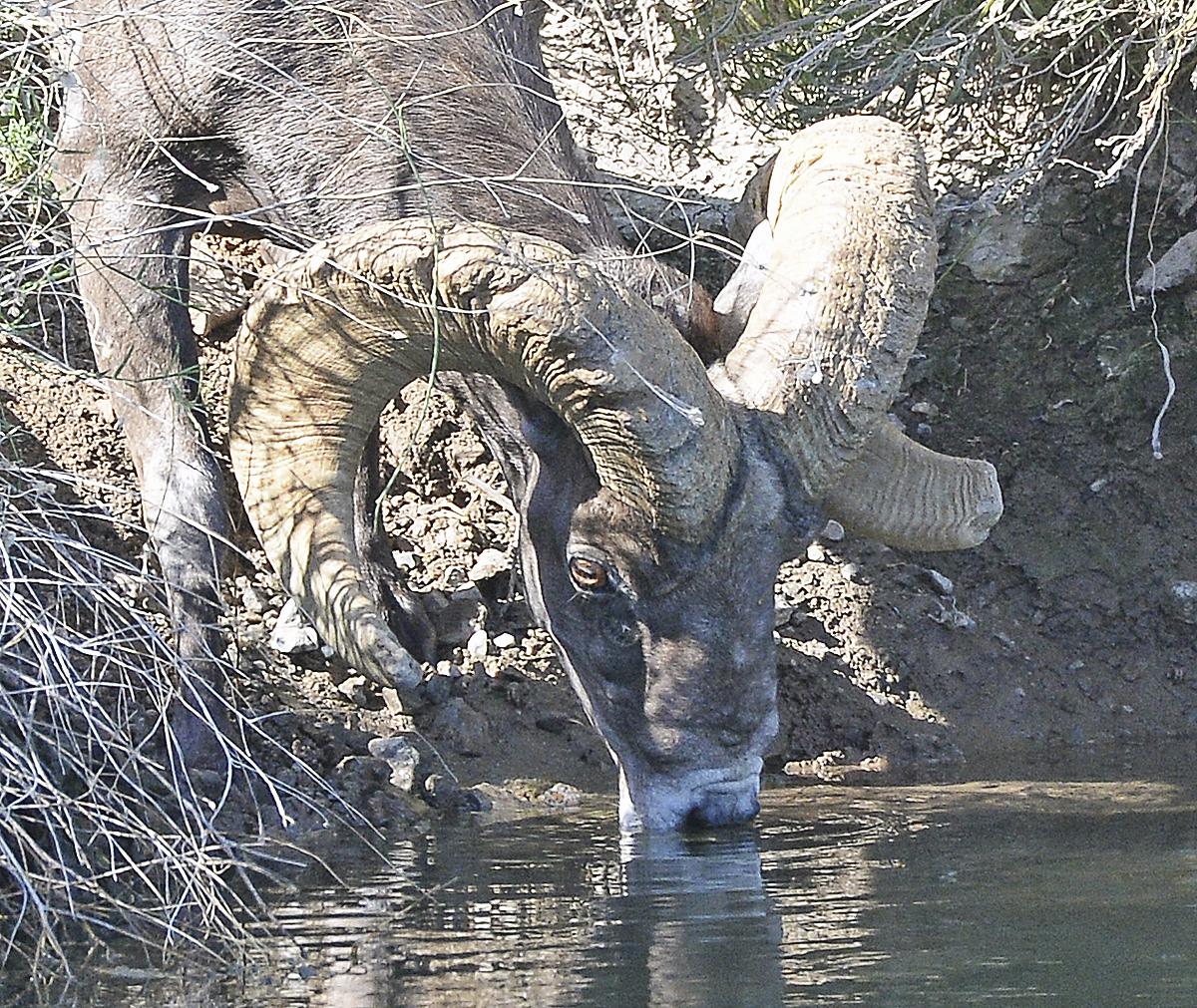 3 TPWD conservation heroes recalled on anniversary of tragedy