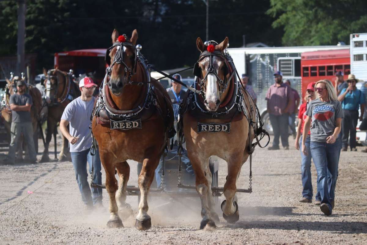Here's what to do Tuesday and Wednesday at Manistee County Fair