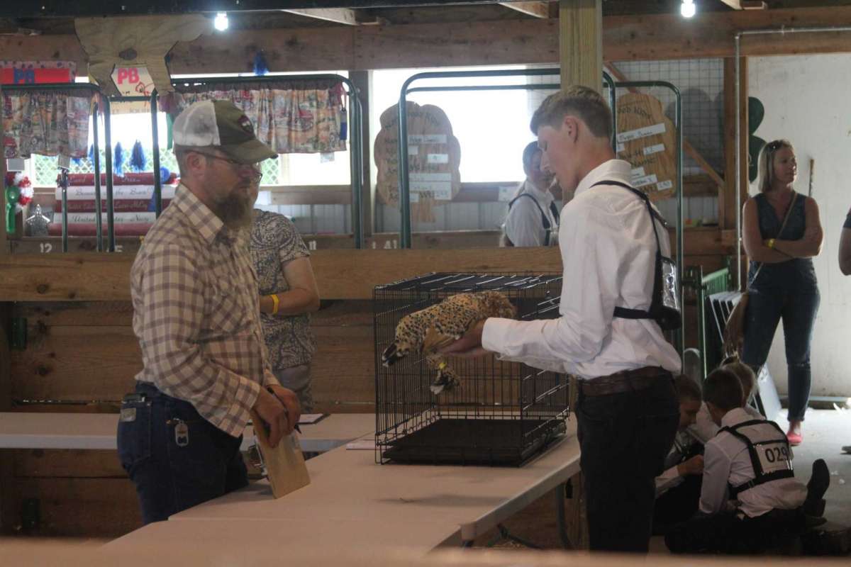 Here's what to do Friday and Saturday at Manistee County Fair