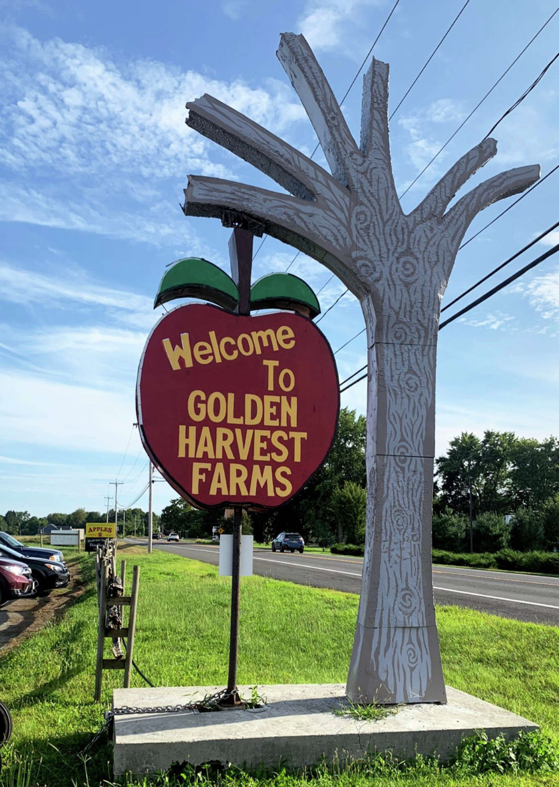 Dining on the farm the ultimate in fresh, local and seasonal