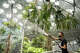 Meet the San Francisco biologist responsible for more than a thousand ...