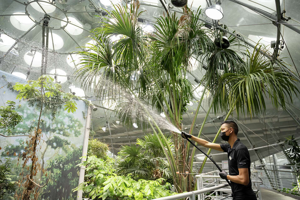 Meet the San Francisco biologist responsible for more than a thousand ...