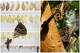 Meet the San Francisco biologist responsible for more than a thousand ...