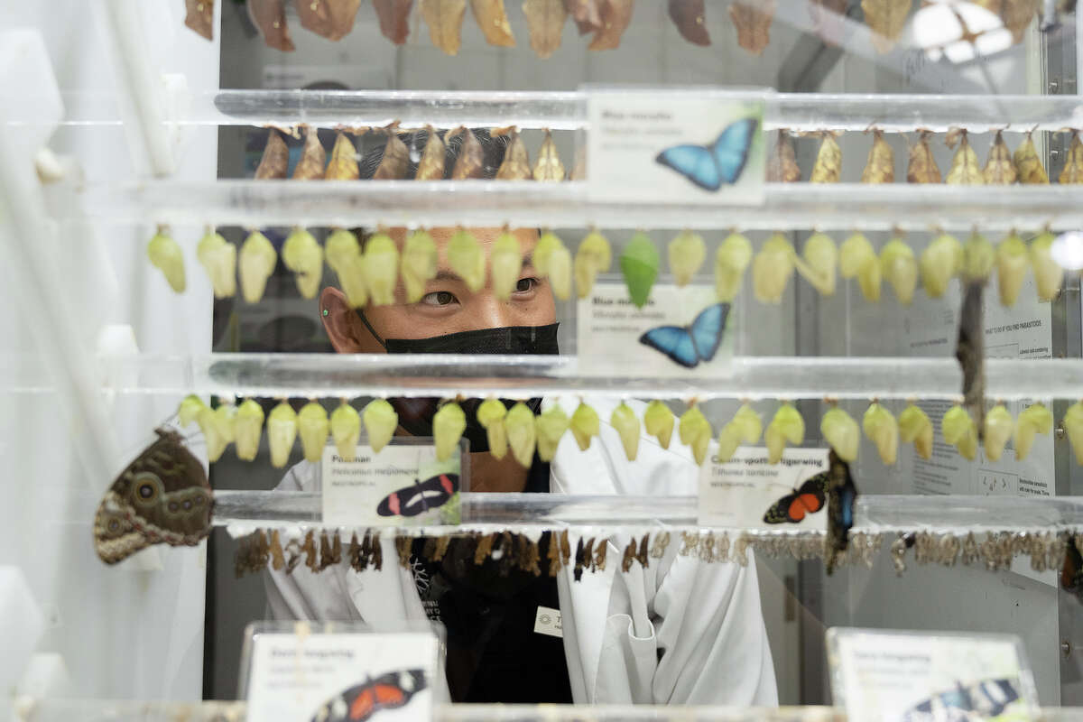 Meet the San Francisco biologist responsible for more than a thousand ...