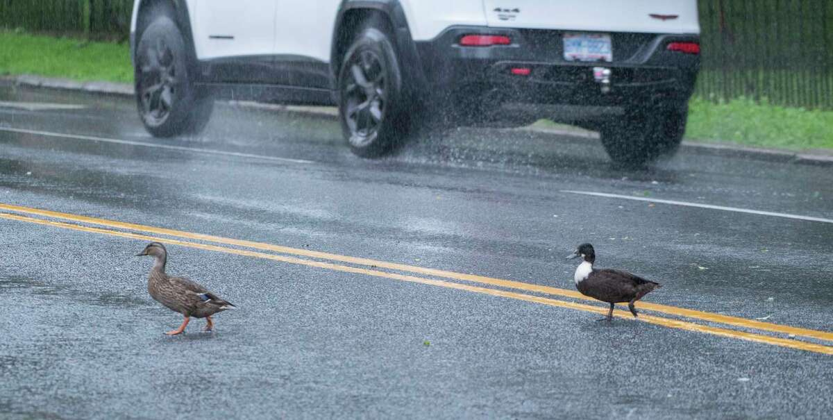 Capital Region photos