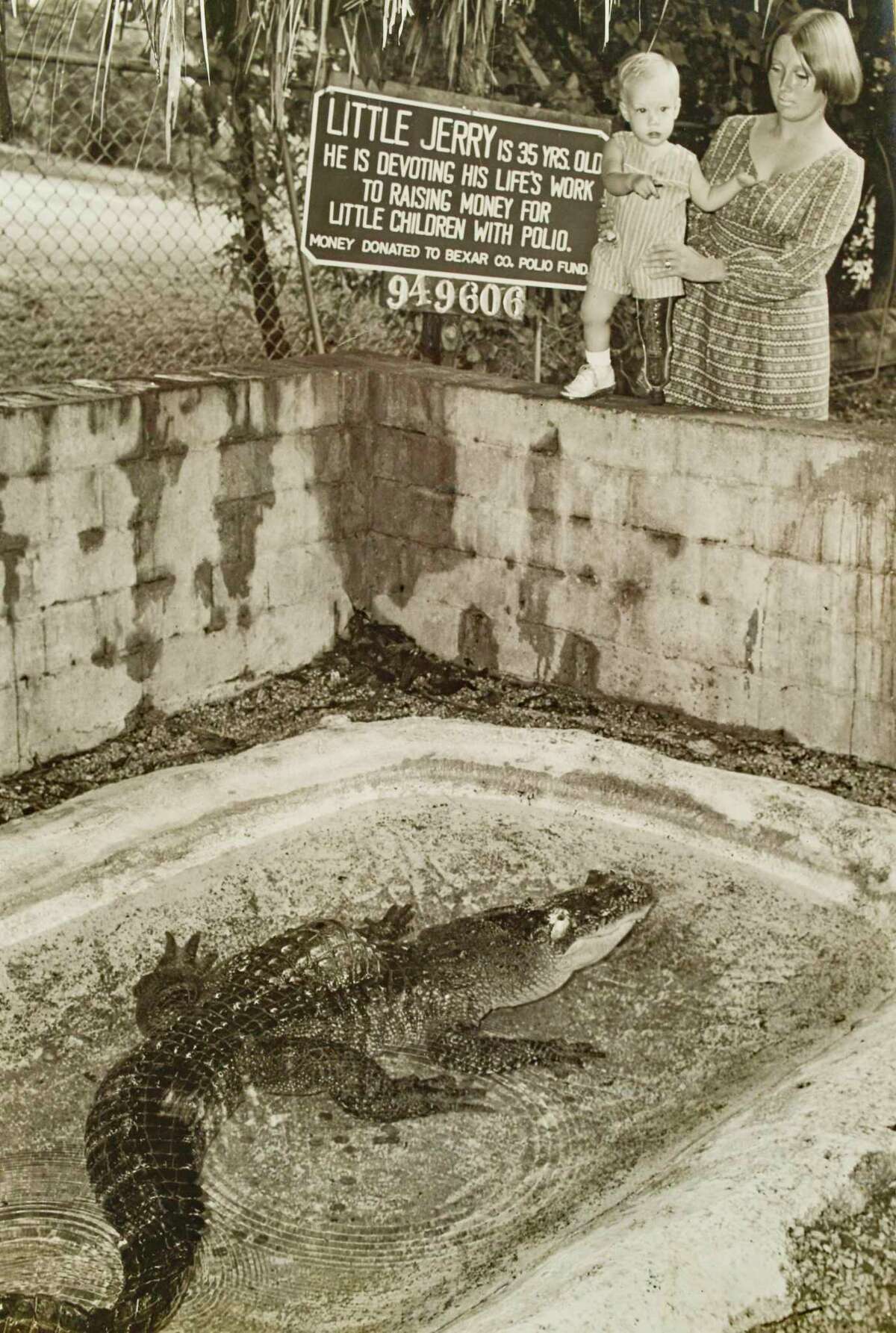 At San Antonio’s old Alligator Garden on Broadway near the Witte Museum ...