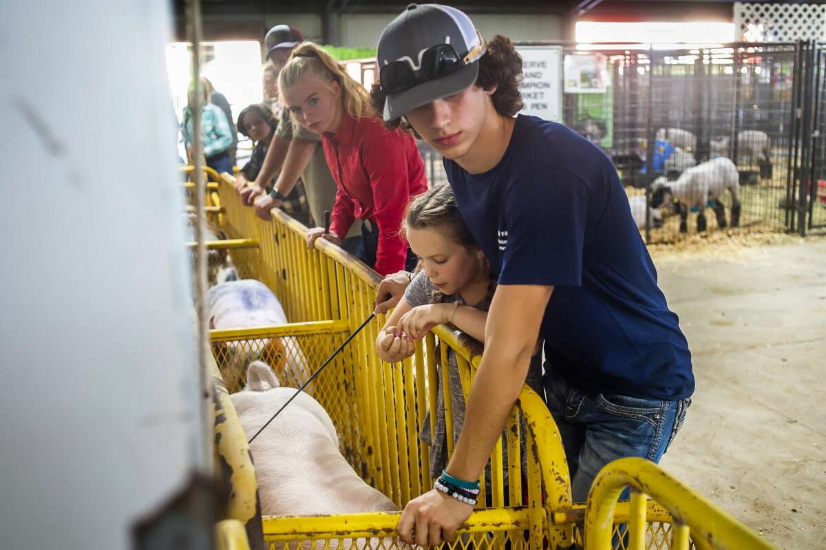 Coleman siblings compete together for first time in 4-H