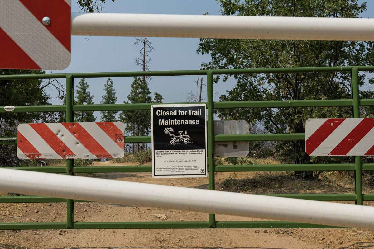 ‘Not one clue’: The mystery is only deepening around the family found ...